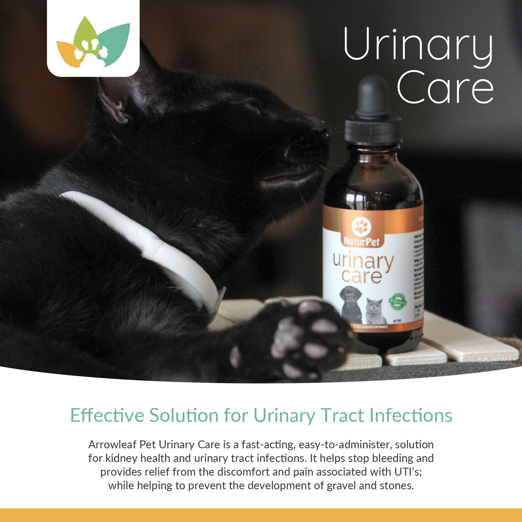 Arrowleaf Pet Urinary Care (NaturPet in Canada) - For Urinary Health – Nature Pet Store